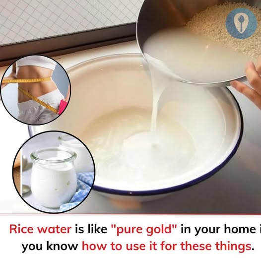 Rice water is like “pure gold” in your home – Best Recipes